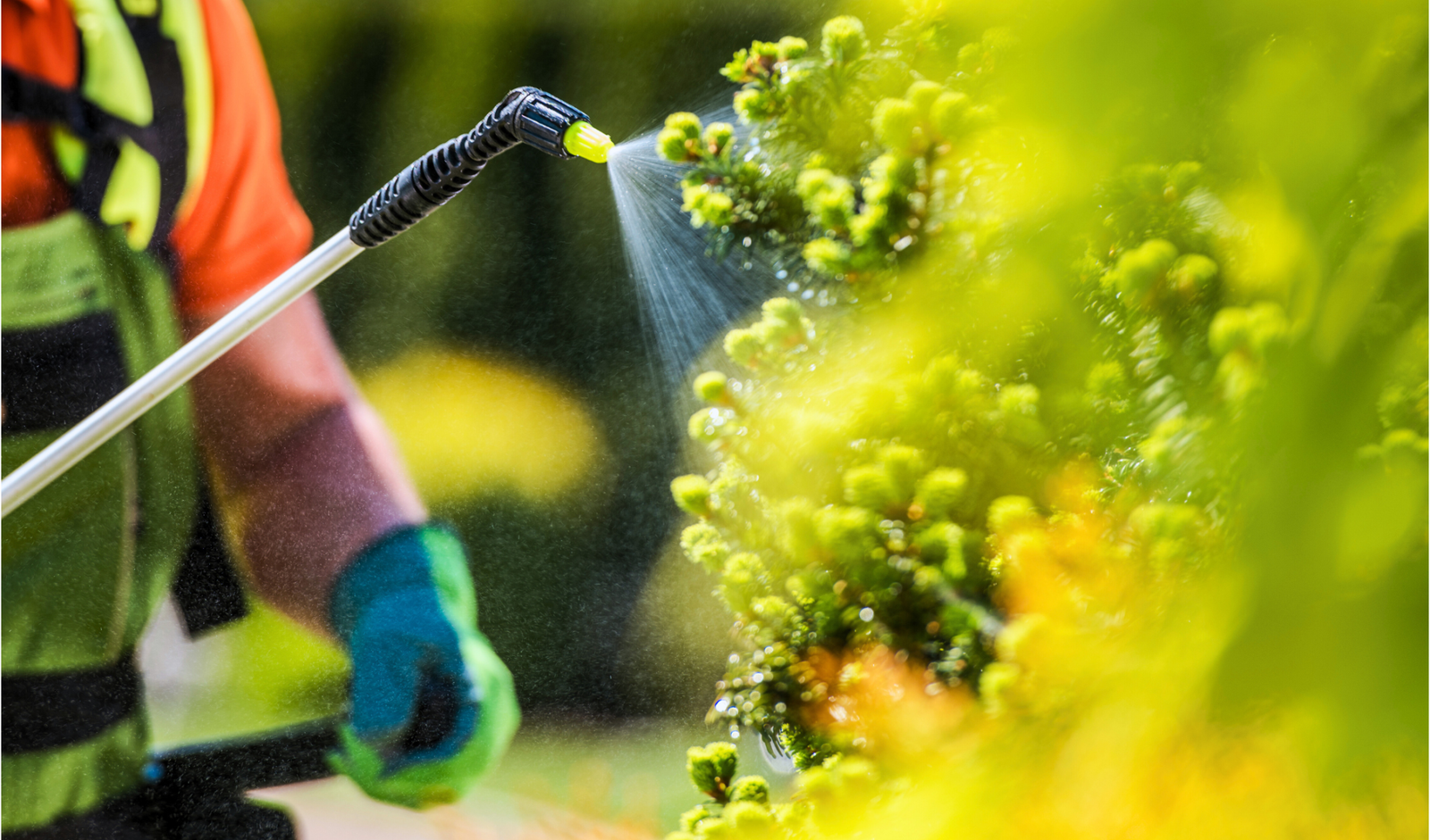 Macam macam pestisida dan dampaknya terhadap lingkungan – Netafarm
